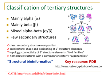 CHEM 245 - Tertiary structure